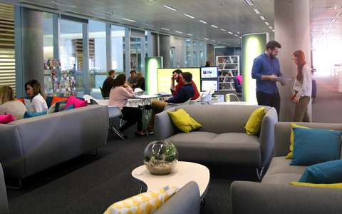 Contact – Daggerwing